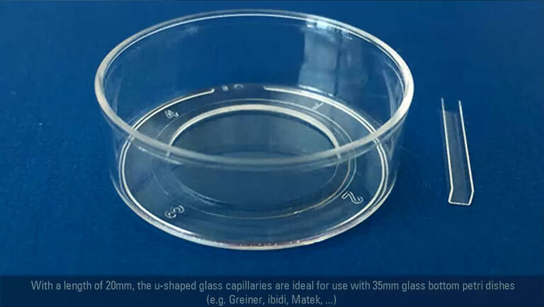 U Shaped Glass Tube Uses Online Discounts | www.oceanproperty.co.th
