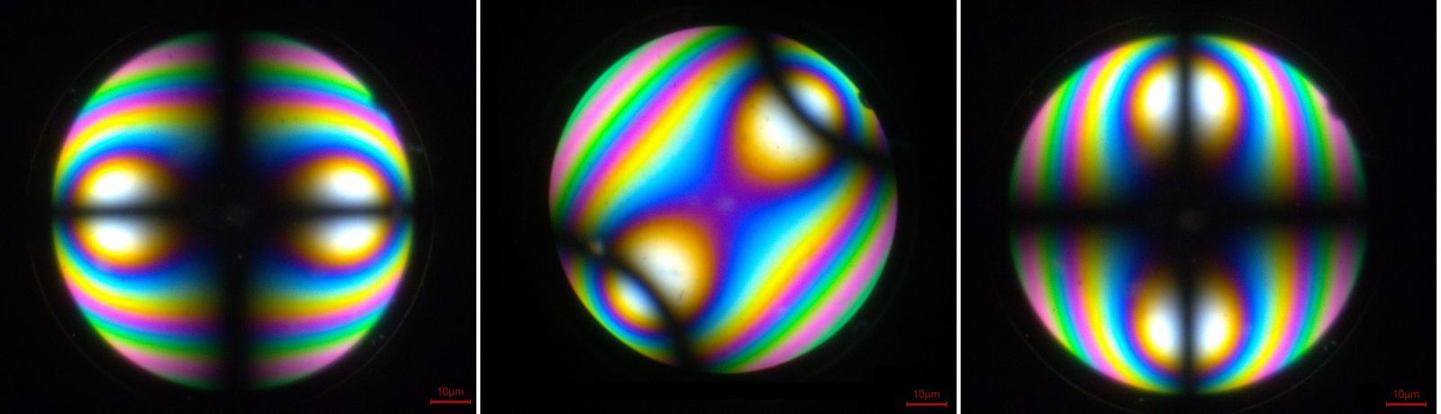 Polarizing Microscope Image Gallery | Learn & Share | Leica Microsystems