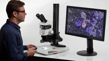 M50, M60 & M80 Routine stereo microscopes | Products | Leica Microsystems