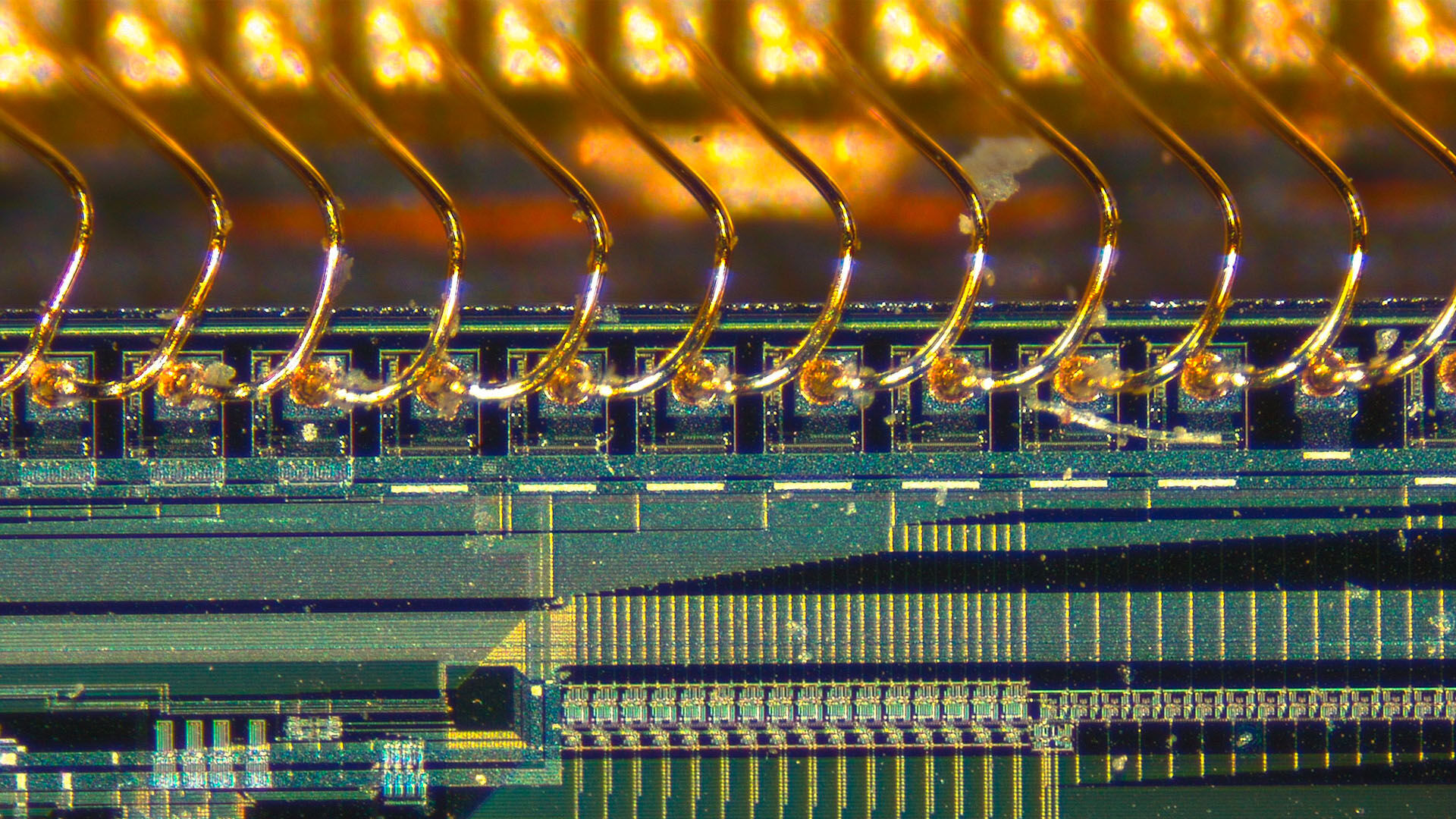 Inspection Microscopes | Applications | Leica Microsystems