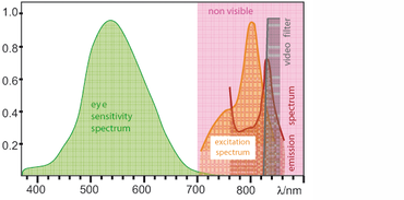FL800 Intra-Operative Fluorescence-Guided Blood Flow View 820 nm/NIR ...