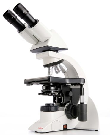 DM1000 LED Ergonomic system microscope | Products | Leica Microsystems