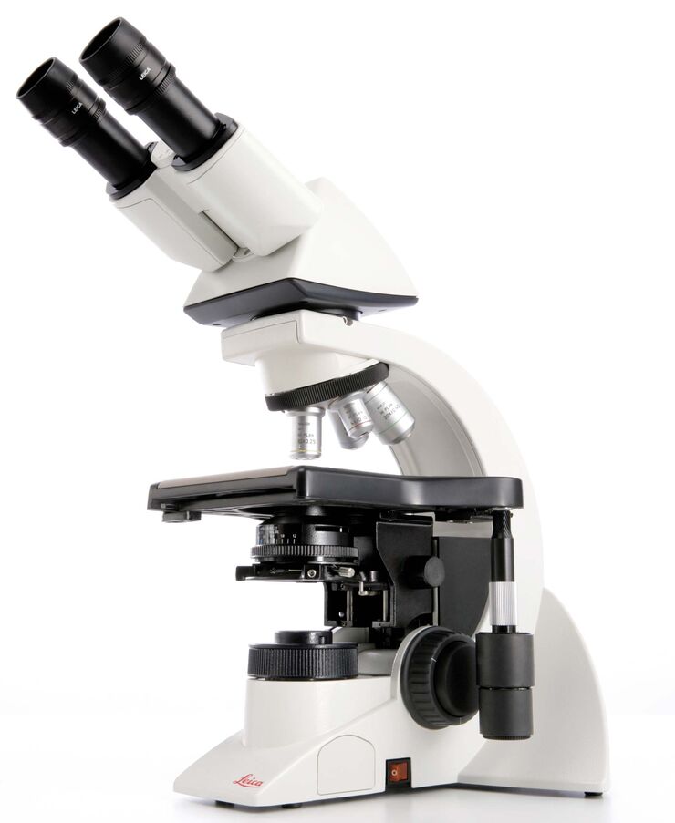 DM1000 LED Ergonomic system microscope | Products | Leica Microsystems