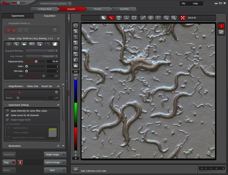 DMC2900 - Media | Products | Leica Microsystems