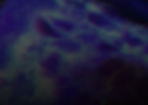 STELLARIS CRS Coherent Raman Scattering Microscope | Products | Leica ...