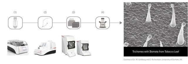 EM TP Electron Microscope Tissue Processing | Products | Leica Microsystems