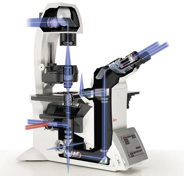 DMi8 S Live cell microscope | Products | Leica Microsystems