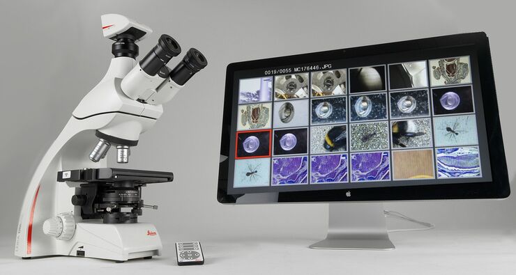 MC120 HD 2.5 Megapixel HD Microscope Camera - Media | Products | Leica ...