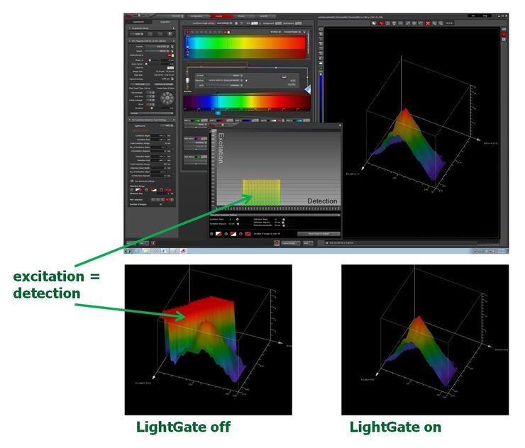 TCS SP8 X - Media | Products | Leica Microsystems