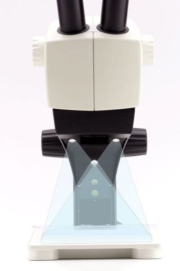 EZ4 Educational stereo microscope for beginners in college and ...