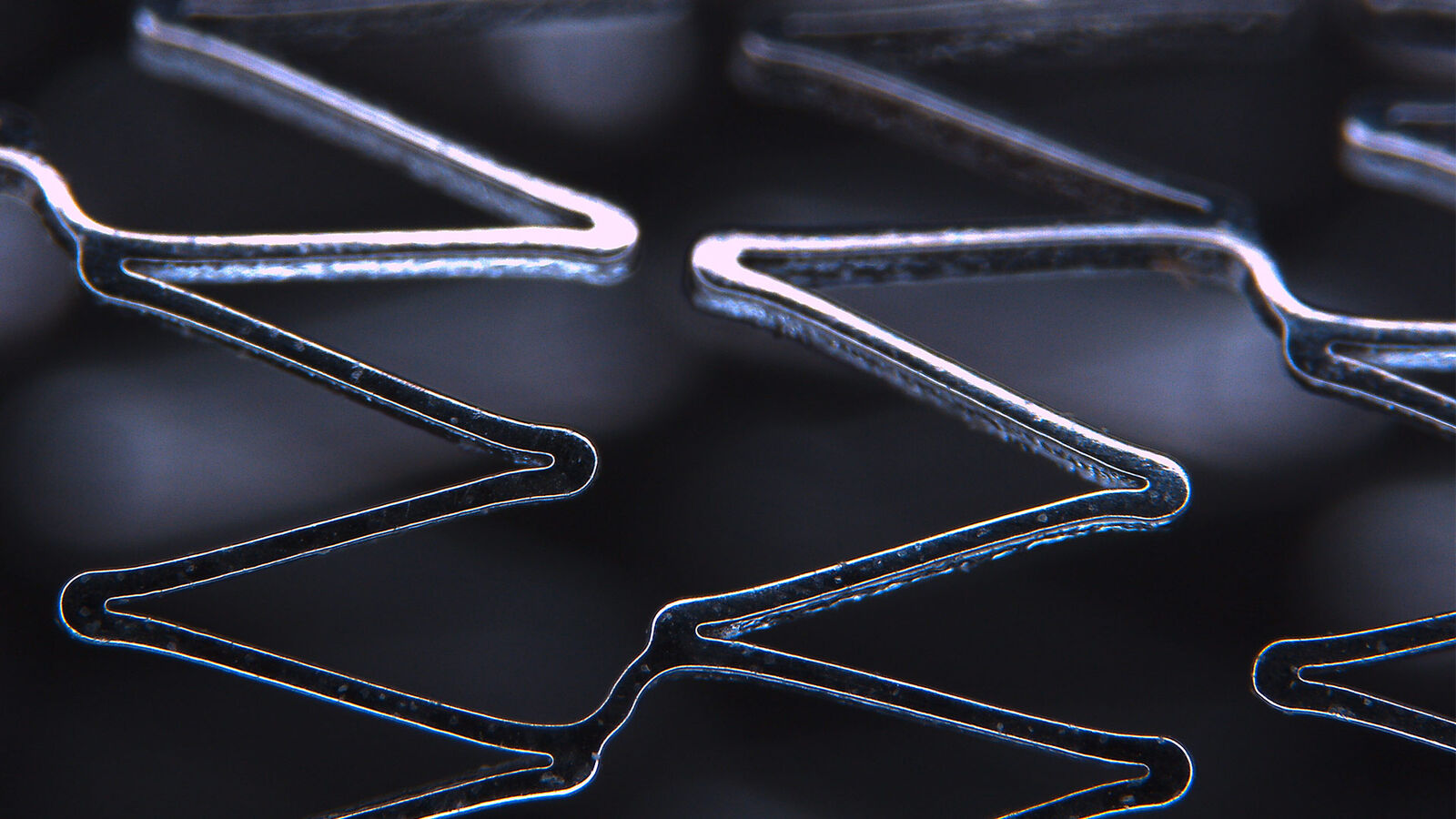 Digital Microscopes | Products | Leica Microsystems