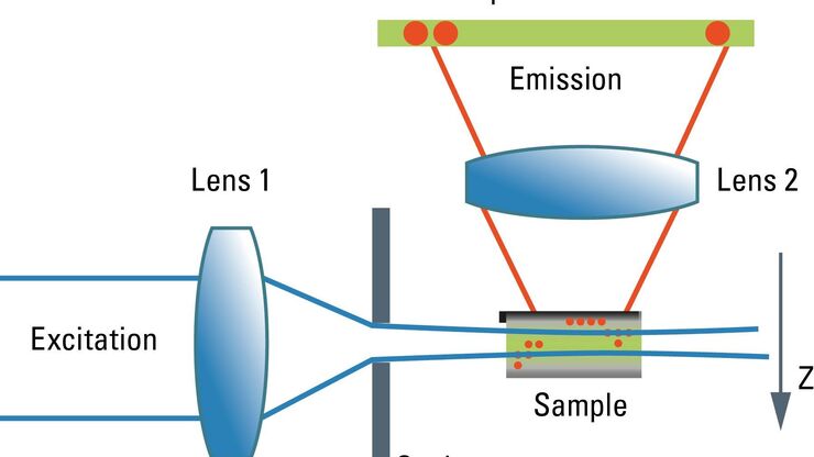 Articles | Products | Leica Microsystems