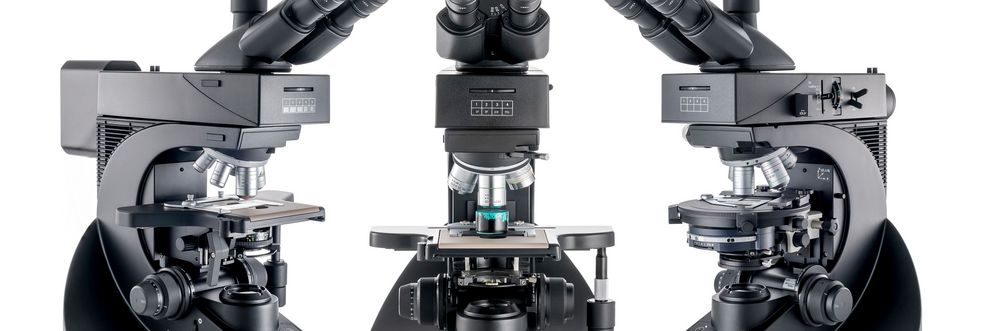 New upright microscopes for enhanced user efficiency and comfort | Leica Microsystems