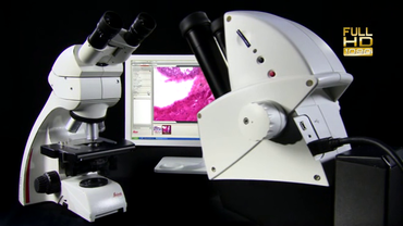 ICC50 HD HD Microscope Camera - Media | Products | Leica Microsystems