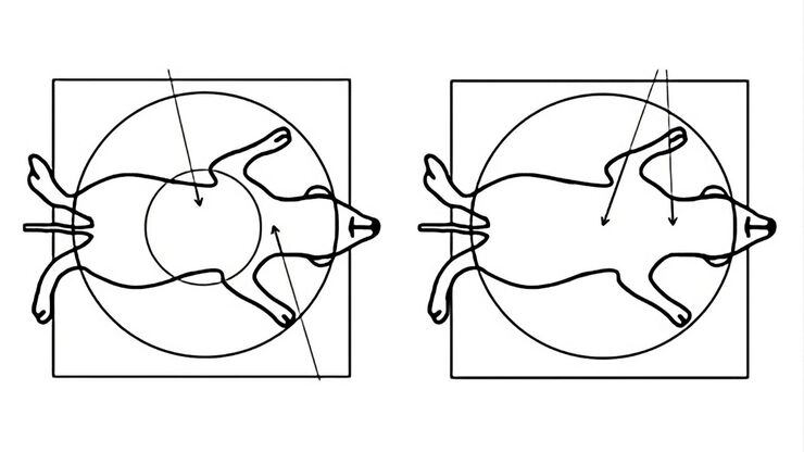 A60 F & A60 S Industrial Stereo Microscopes - Applications | Products ...