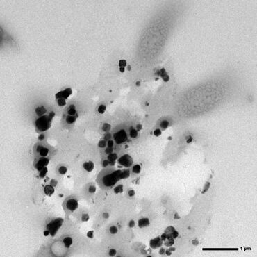 EM UC7 Ultramicrotome - Media | Products | Leica Microsystems
