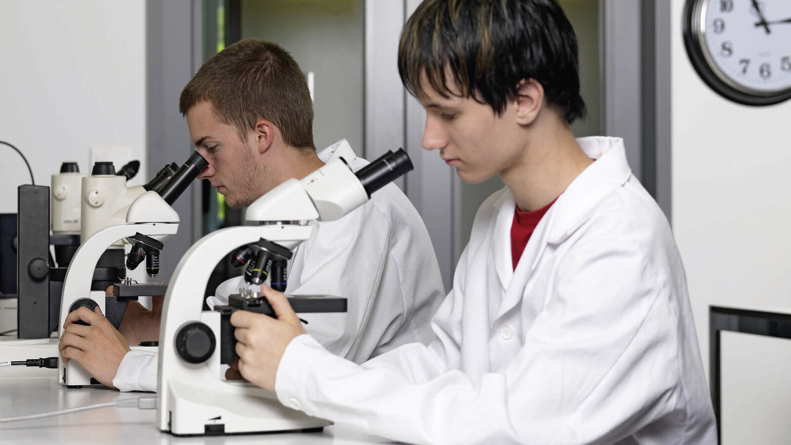 DM300 Monocular, binocular or trinocular educational microscope for ...