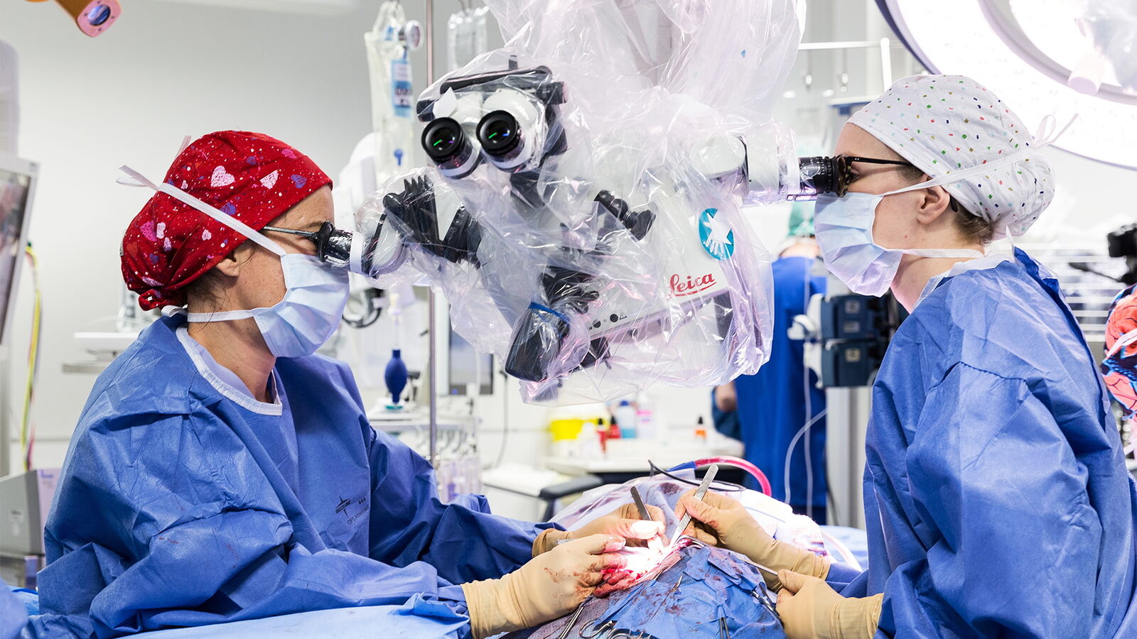 How to Choose a Microscope for Reconstructive Surgery | Learn & Share ...