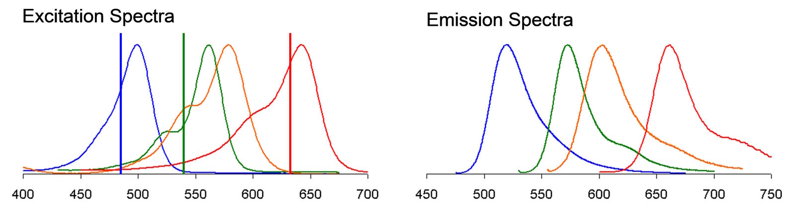 Explore Innovative Techniques to Separate Fluorophores with Overlapping ...