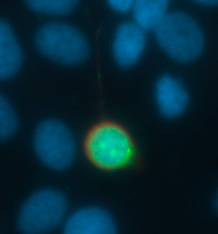 Science Lab | Leica Microsystems