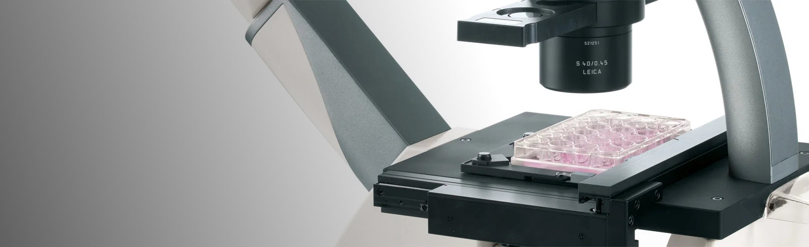 DMi1 Inverted Microscope for Cell Culture | Products | Leica Microsystems