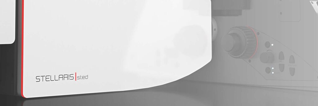 STED Microscopes STELLARIS | Products | Leica Microsystems