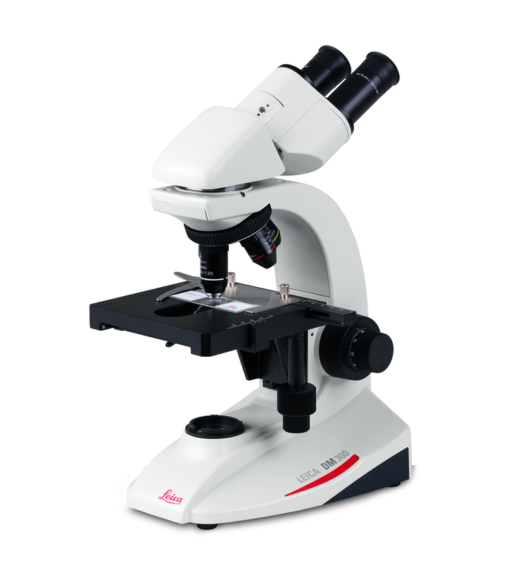 DM300 Monocular, binocular or trinocular educational microscope for ...