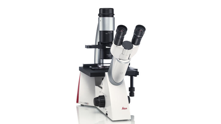 Microscopy Solutions for Cell Culture | Applications | Leica Microsystems