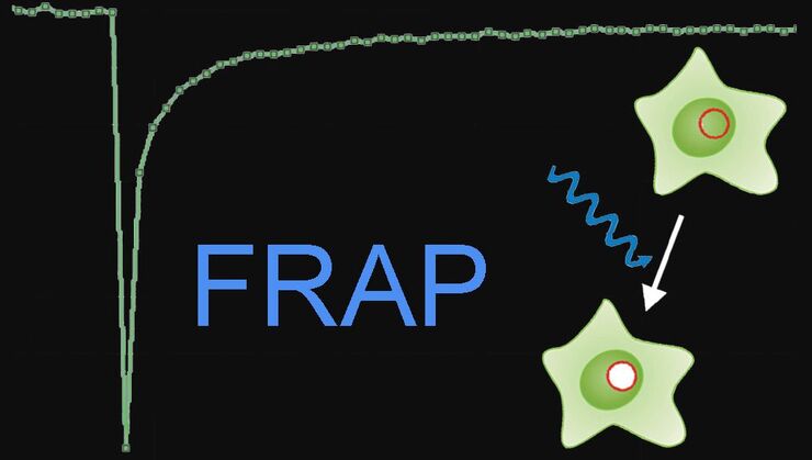 Articles | Products | Leica Microsystems