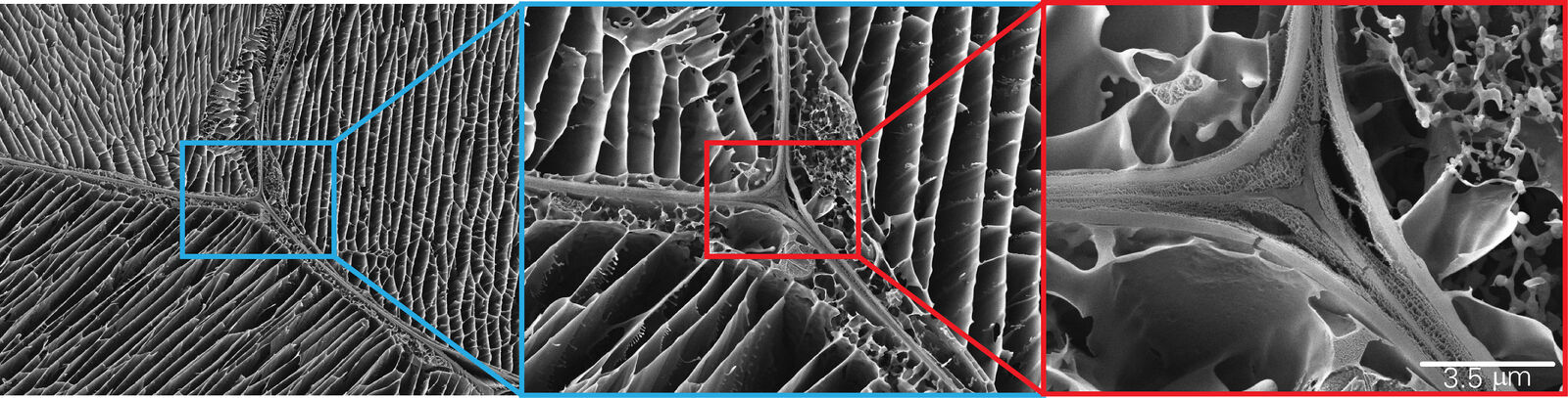 polycarbonate microstructure