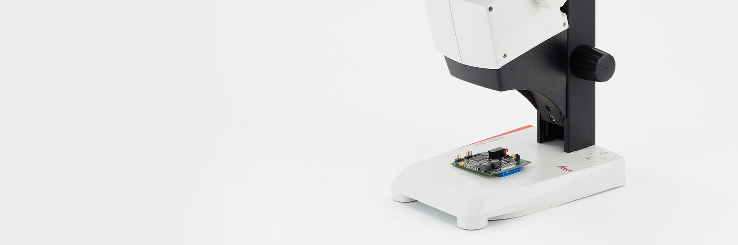 Educational Microscopes | Applications | Leica Microsystems