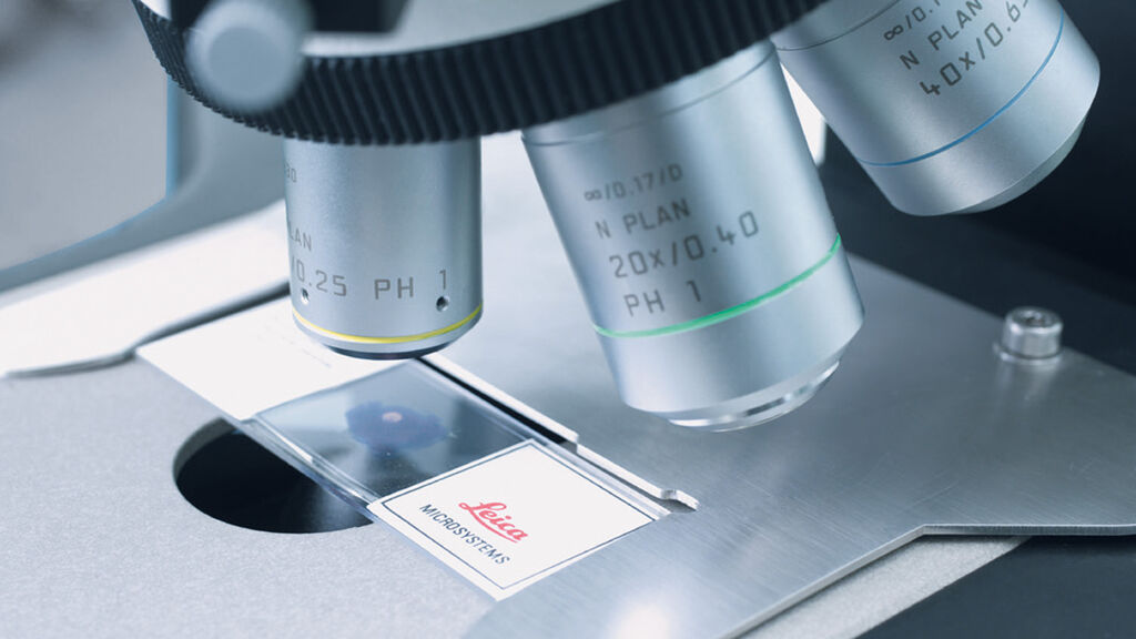 Microscope Objective Lens | Products | Leica Microsystems