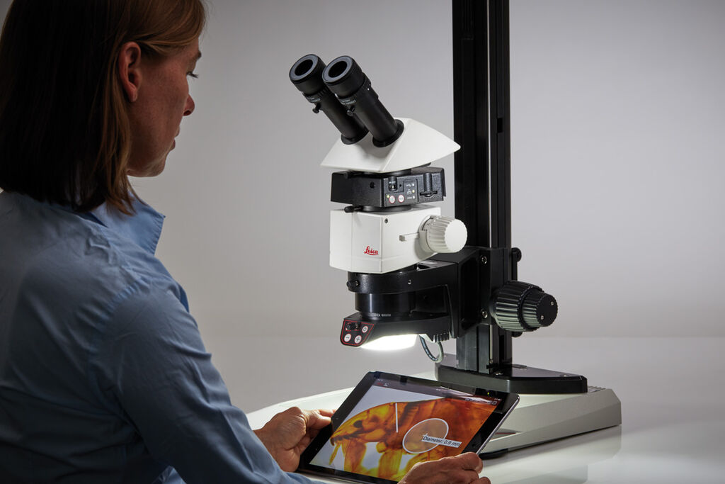 M50, M60 & M80 Routine stereo microscopes | Products | Leica Microsystems