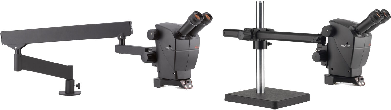 Rodent and Small-Animal Surgery | Learn & Share | Leica Microsystems