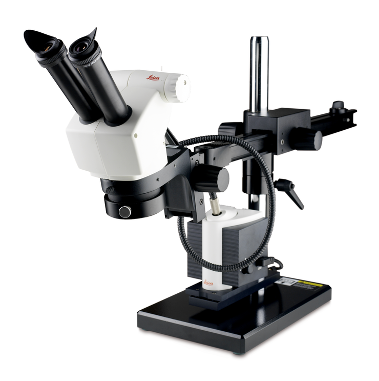 EZ5 - Media | Products | Leica Microsystems