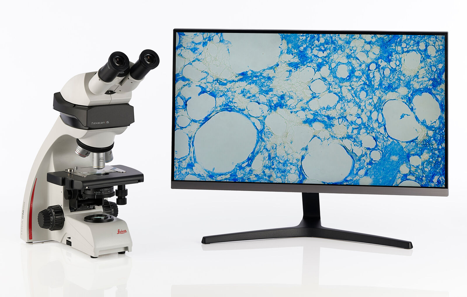 DM500 Binocular Educational Microscope | Products | Leica Microsystems