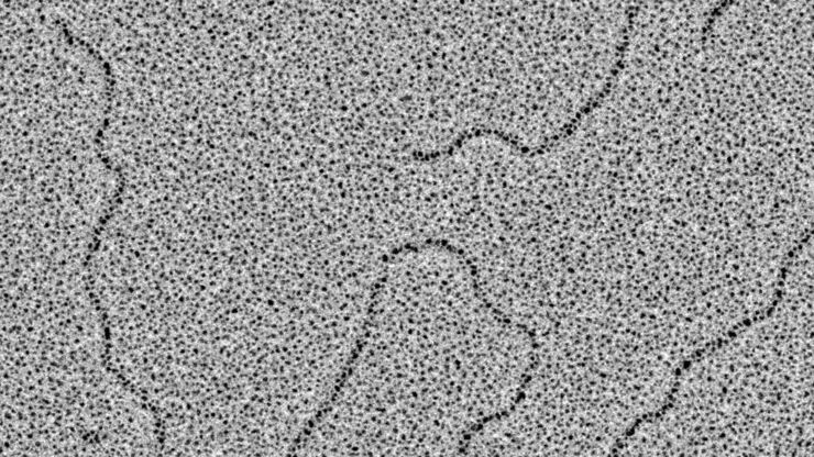 Nex­pe­rion e.U. – Solutions for Electron Microscopy, Vienna, Aus­tria ...