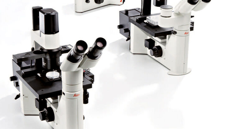 Microscopy Solutions for Cell Culture | Applications | Leica Microsystems