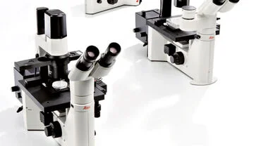 Microscopy Solutions for Cell Culture | Applications | Leica Microsystems