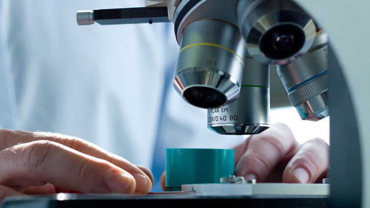 Microscope Objective Lens | Products | Leica Microsystems