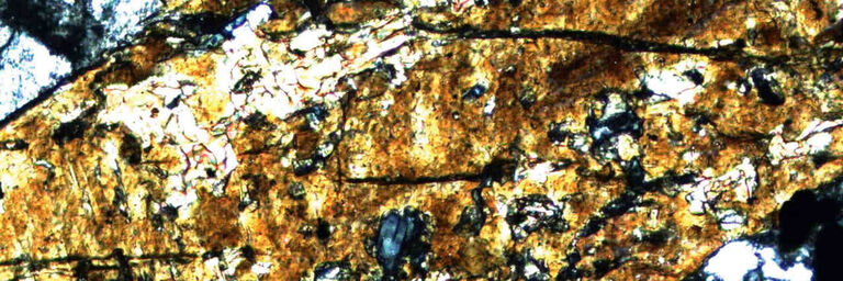 Educational Microscopes | Applications | Leica Microsystems