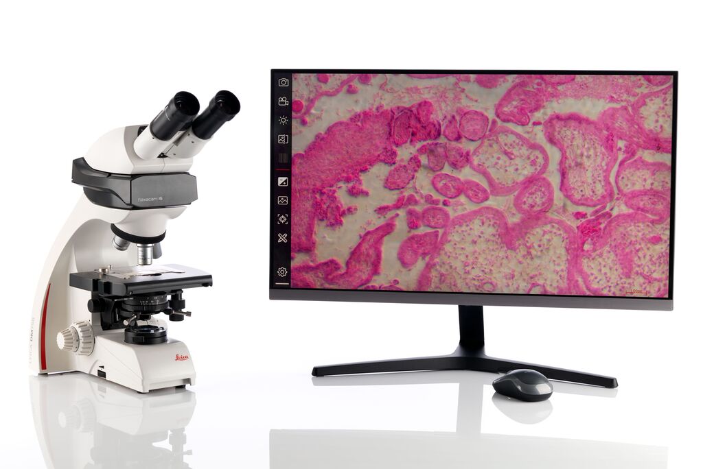 DM750 Binocular Microscope for Postdocs in Life Sciences | Products ...