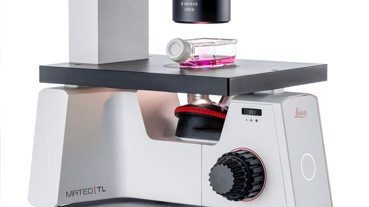 Microscopy Solutions for Cell Culture | Applications | Leica Microsystems