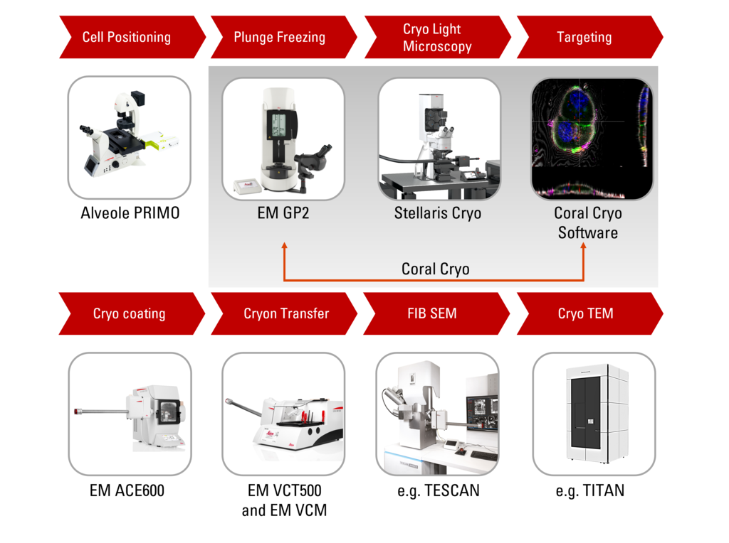 A Guide to Cryo-Electron Tomography | Learn & Share | Leica Microsystems