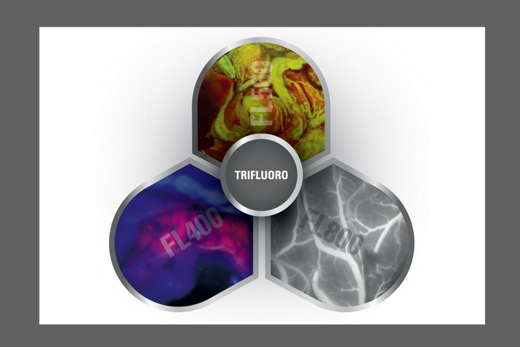 FL560 Fluorescence Module Leica FL560 - Applications | Products | Leica ...