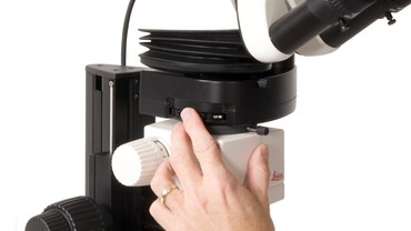 M50, M60 & M80 Routine stereo microscopes - Media | Products | Leica ...