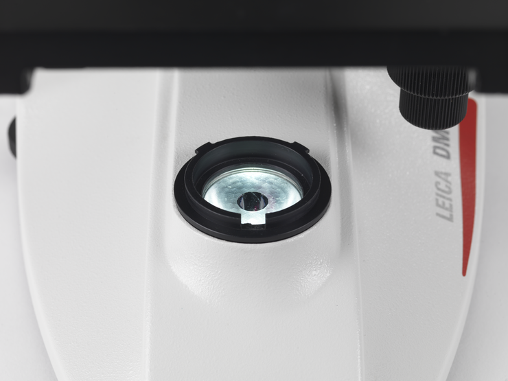 DM300 Monocular, binocular or trinocular educational microscope for ...