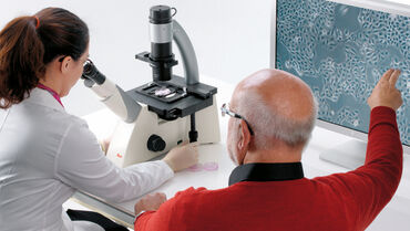 Microscopy Solutions for Cell Culture | Applications | Leica Microsystems