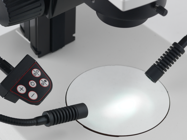 LED3000 SLI LED Spotlight Illuminator with Gooseneck | Products | Leica ...