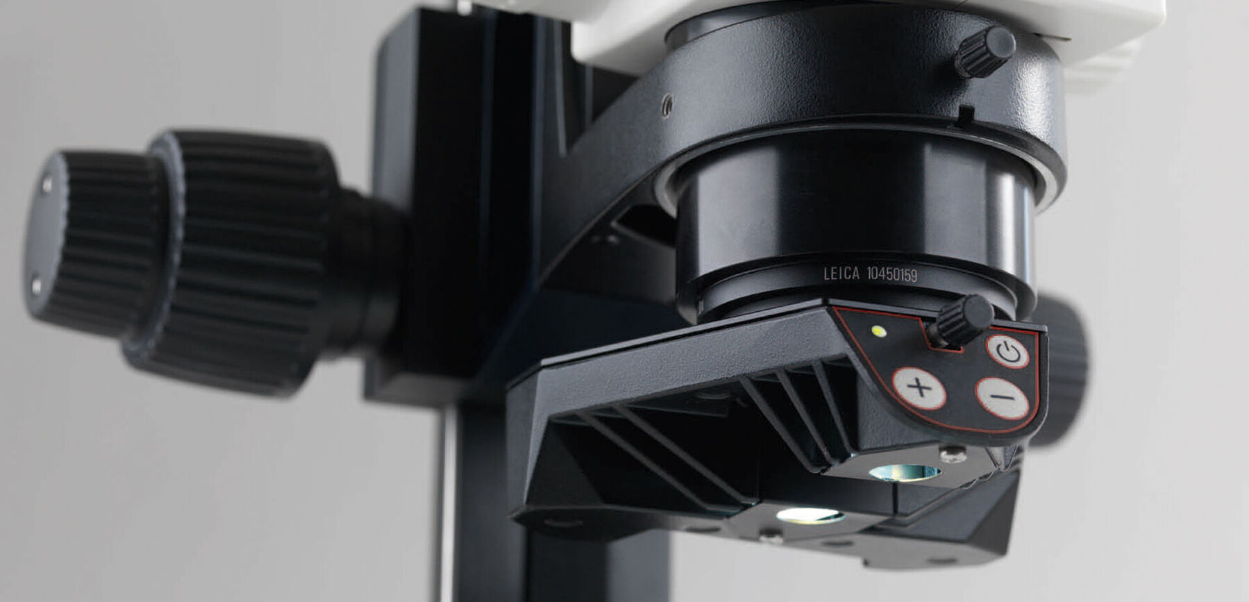 Dissecting Microscopes | Applications | Leica Microsystems